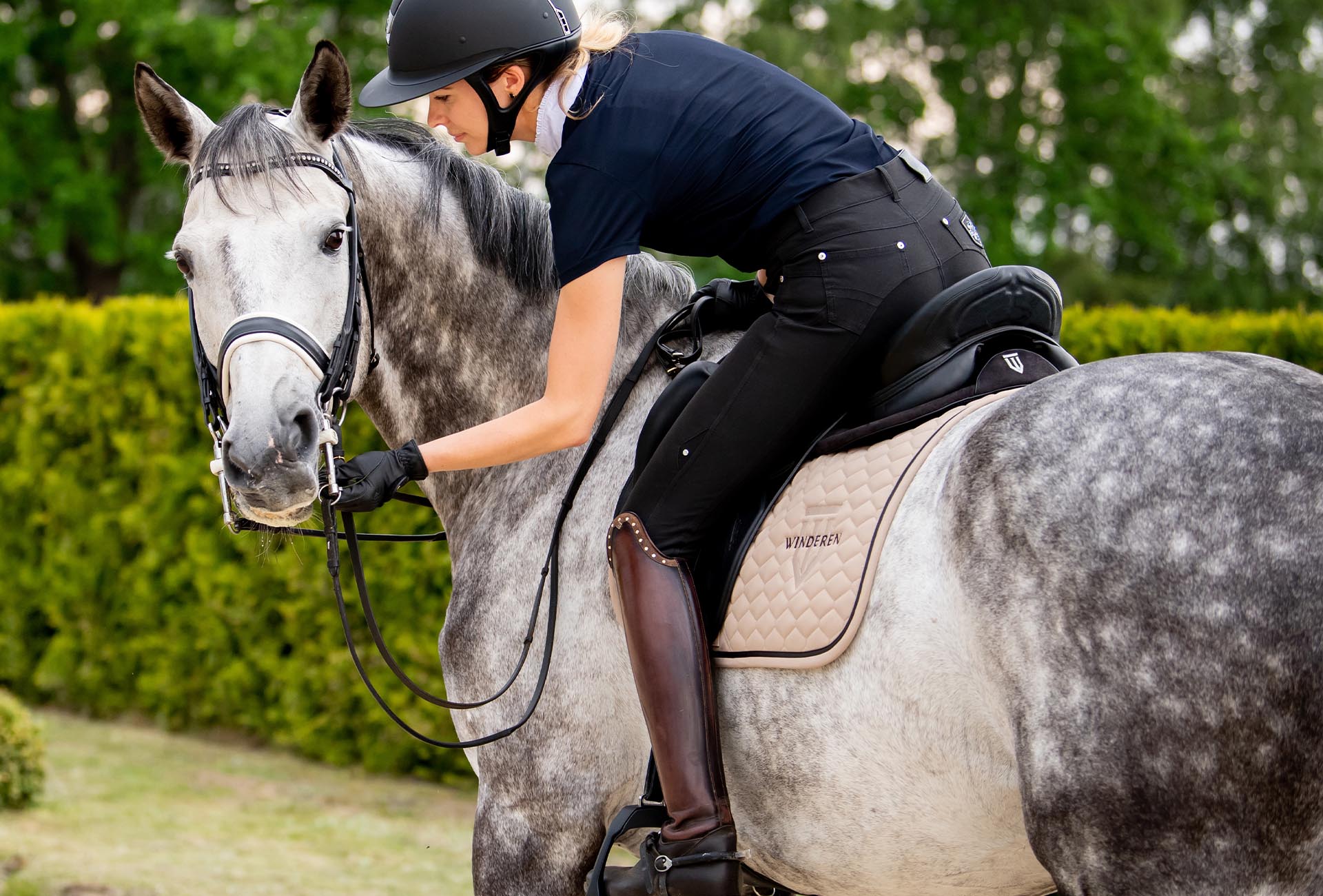 English Horse Tack Diagram