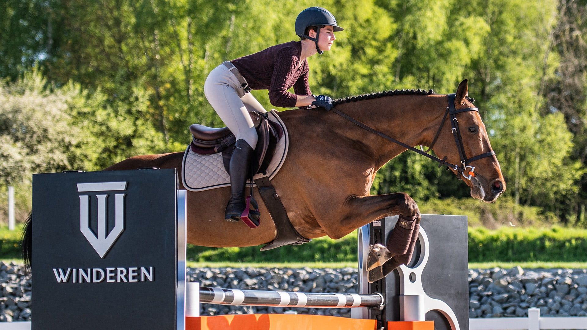 Equestrian equipment. Innovative solutions for horses and riders ...