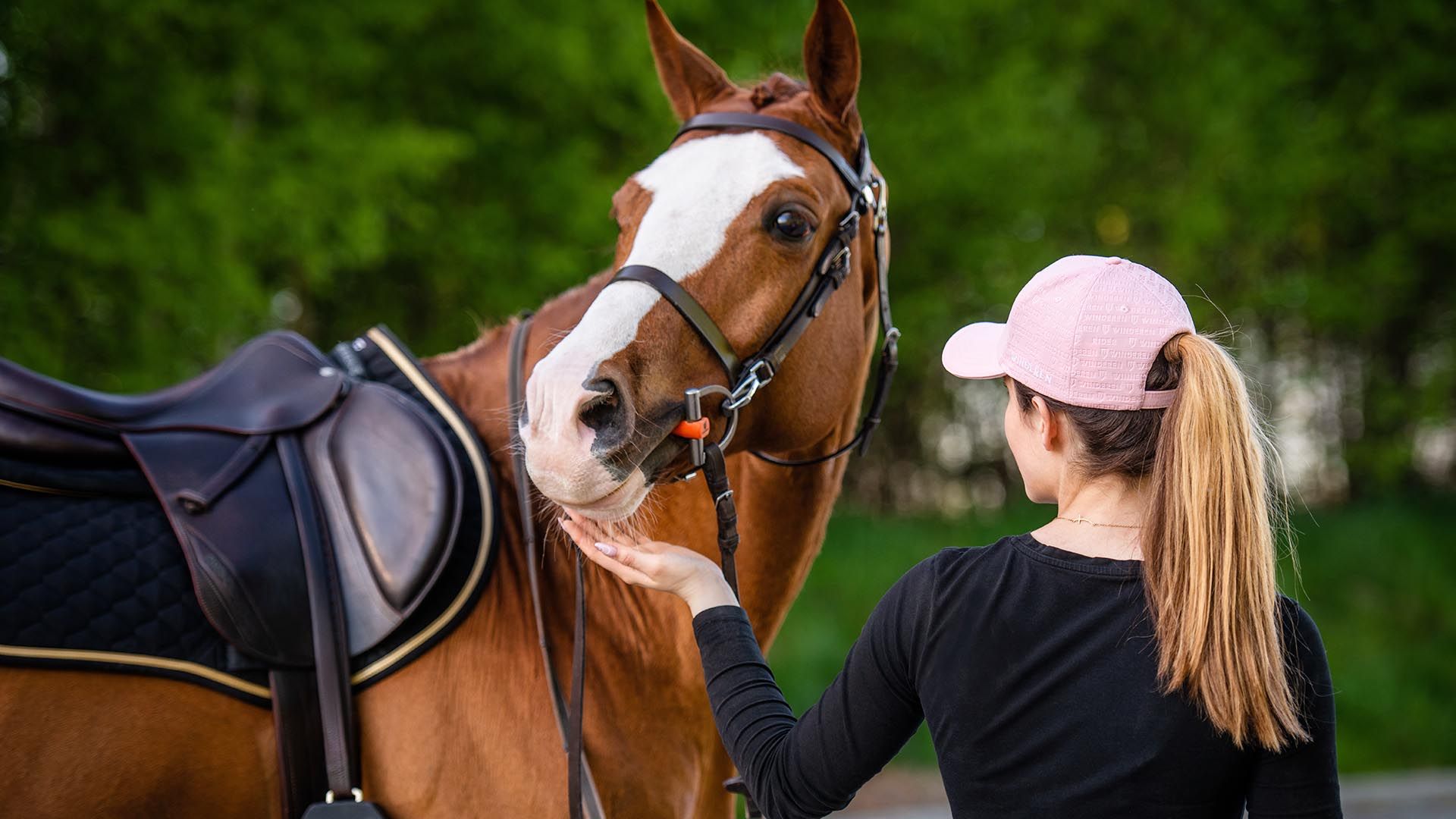 Bits for horses. Gel mouthpieces with interchangeable cheek pieces ...