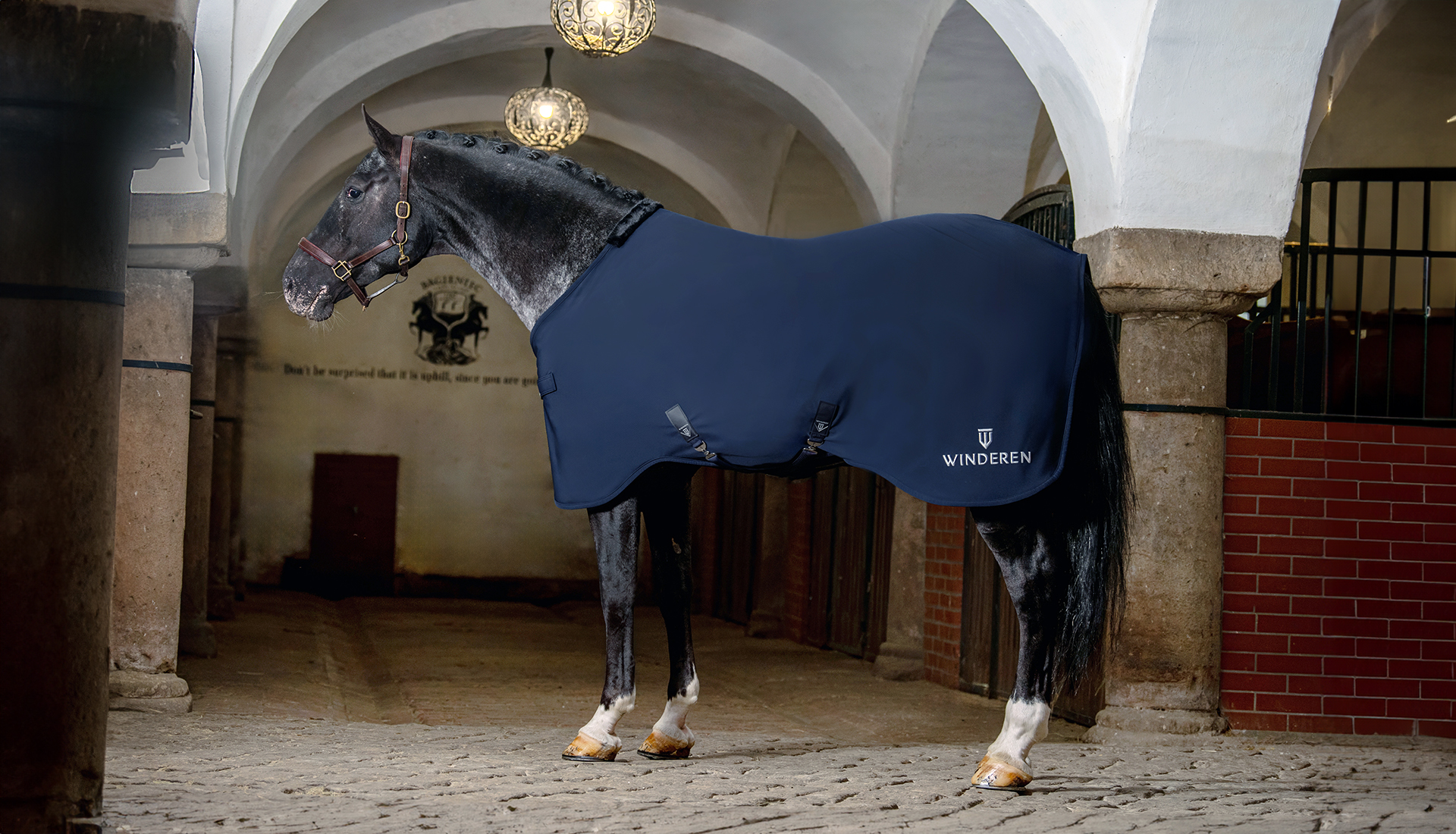 Winderen horse rug softshell Thermo Clear 145 cm (6'6) - Raven ...