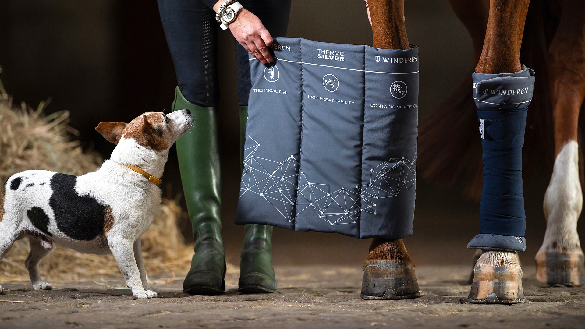 Stable bandages and wraps for horses | manufacturer and equestrian shop ...