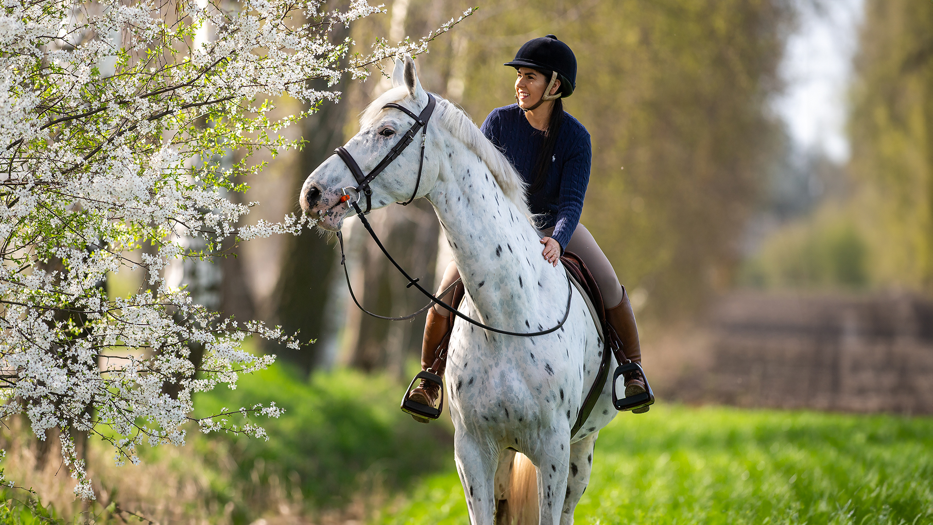 What can Winderen Double Shock Absorbing System stirrups do for your ...