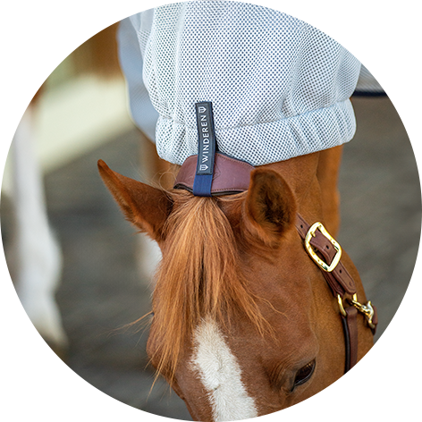 Winderen horse rug Fly - Proof 145 cm (6'6) | manufacturer and ...