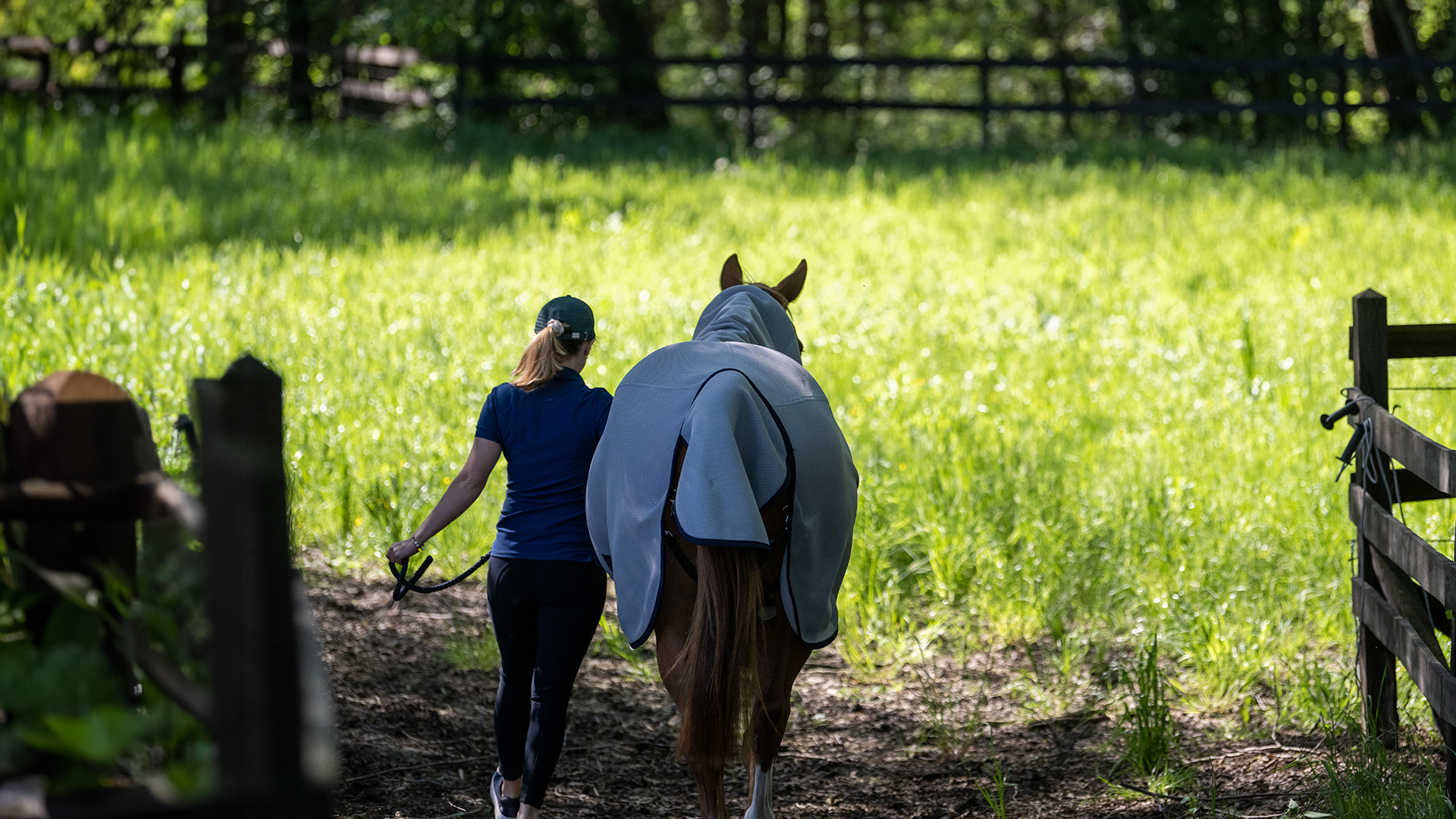 Winderen horse rug Fly - Proof 145 cm (6'6) | manufacturer and ...