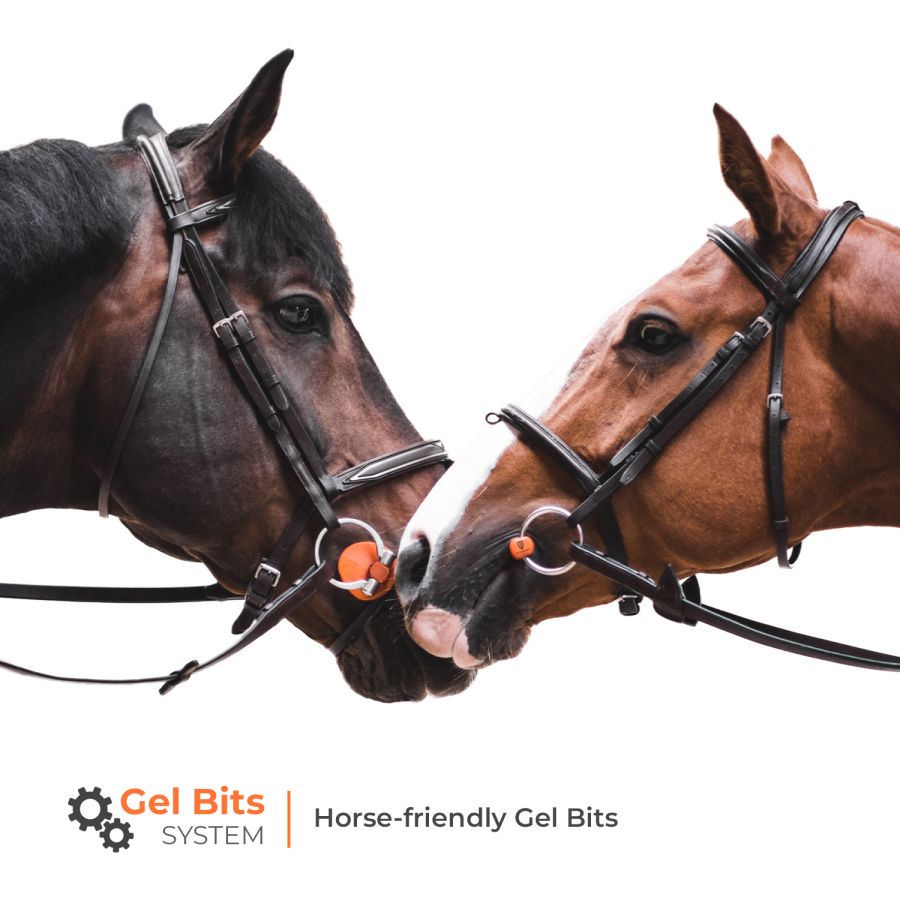 Winderen Gebiss Liverpool Fahrkandare - Einfach gebrochenes Mundstück ...