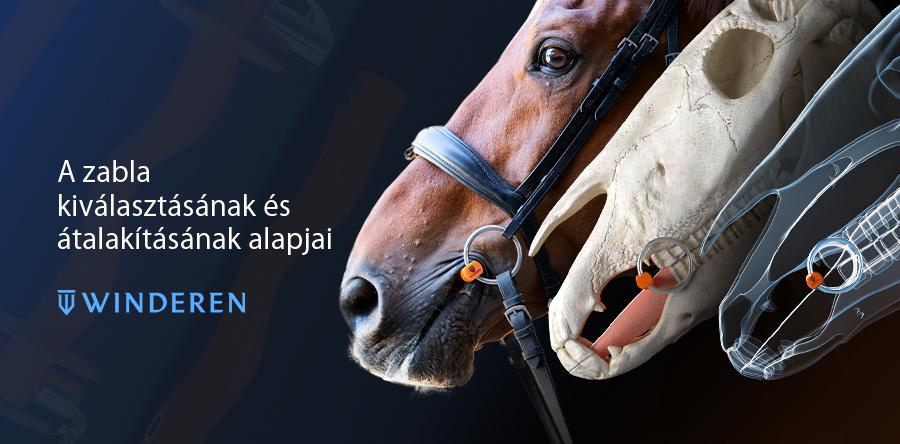 A zabla kiválasztásának és átalakításának alapjai