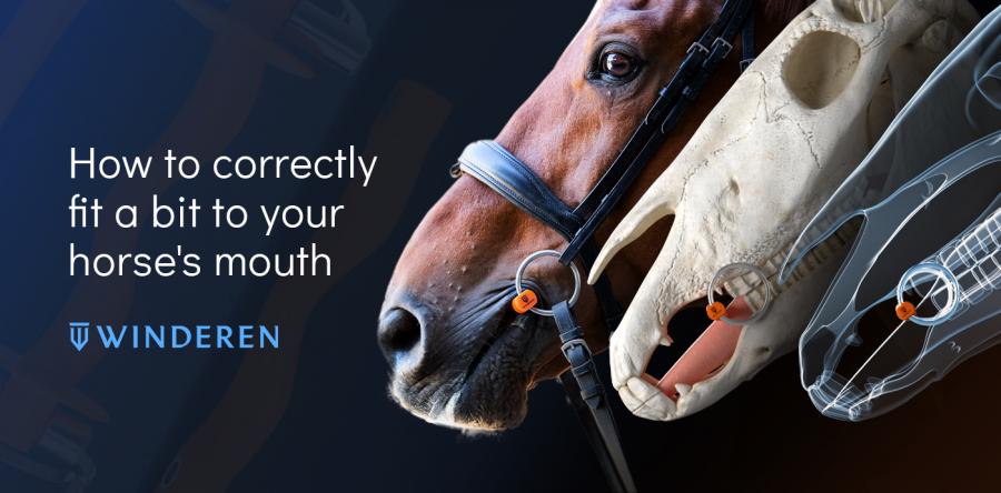 Choosing and adjusting the bit - where to begin