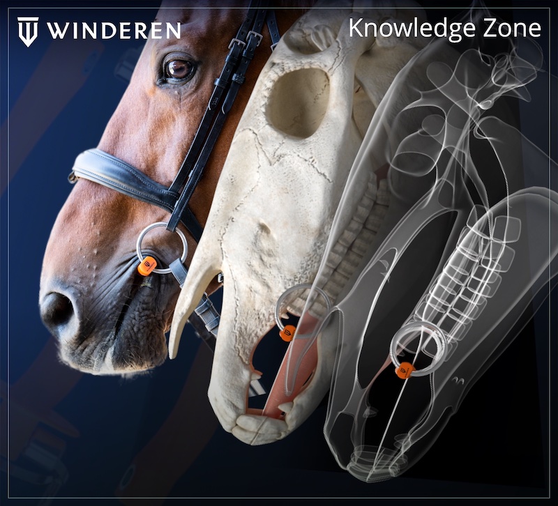 Les Mors | Winderen Fabricant et boutique d’équitation