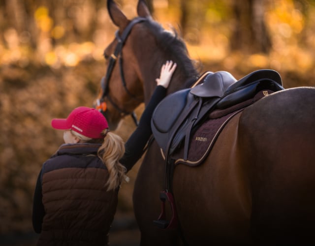 Equestrian equipment. Innovative solutions for horses and riders ...